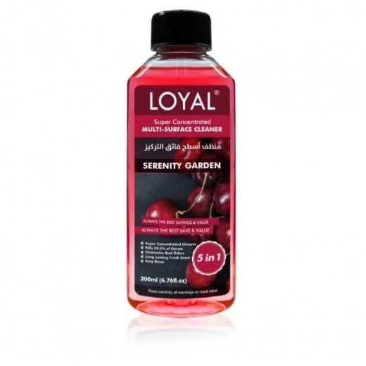 ruby - LOYAL Multi-Surface Cleaner