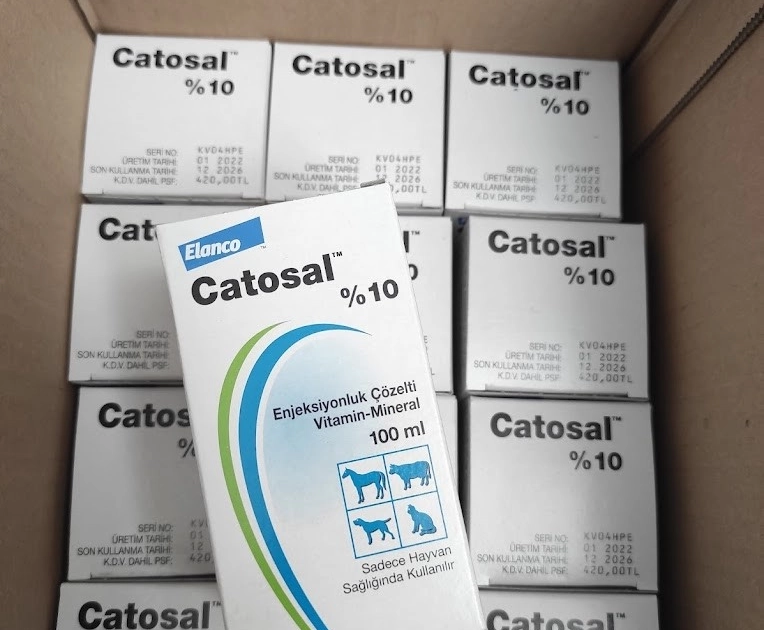 Mas Vet - CATOSAL 10 % - 100 ML - injection
